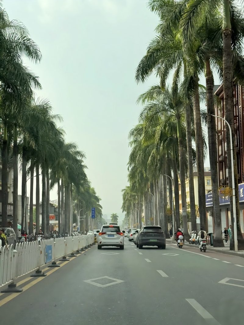 Mangshi: A Sun-Drenched Afternoon I Never Wanted to Leave - 奥色密色